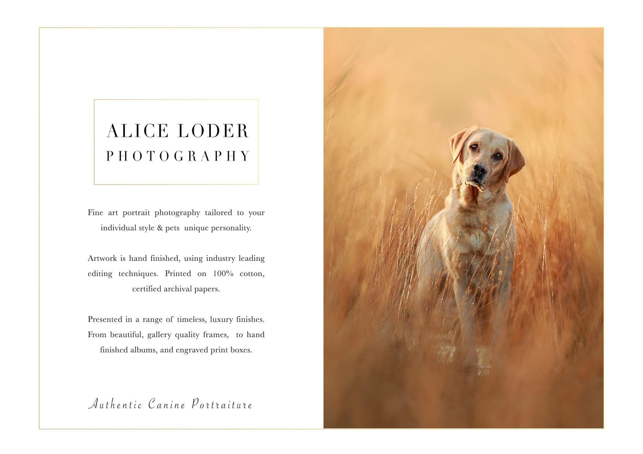 Alice Loder Photography - Weybridge, England - Nextdoor