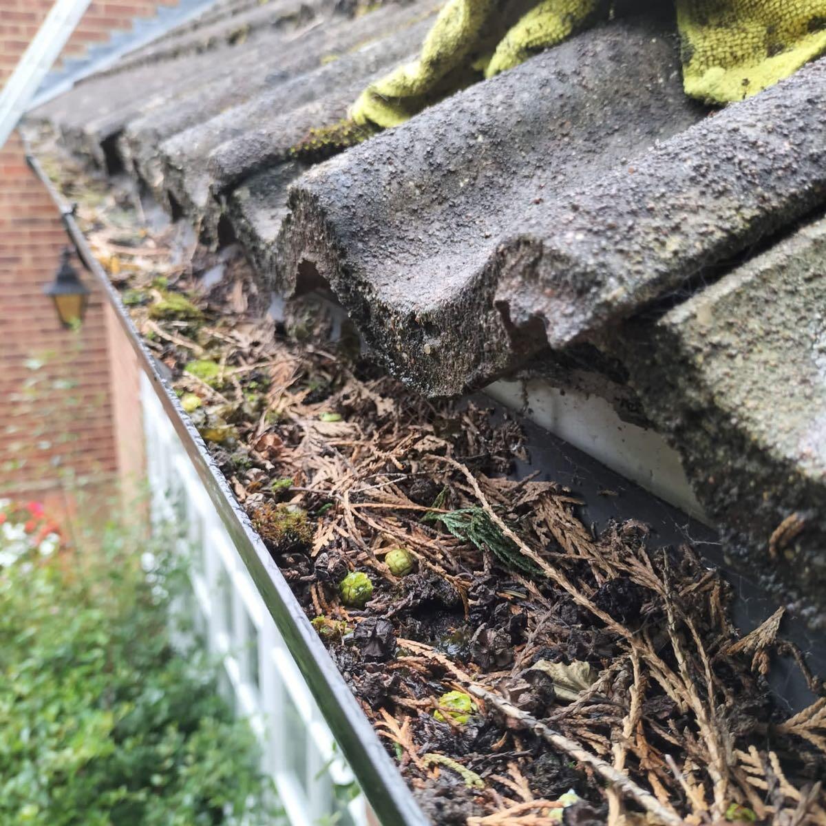 Davies Gutter Clearances - Nextdoor