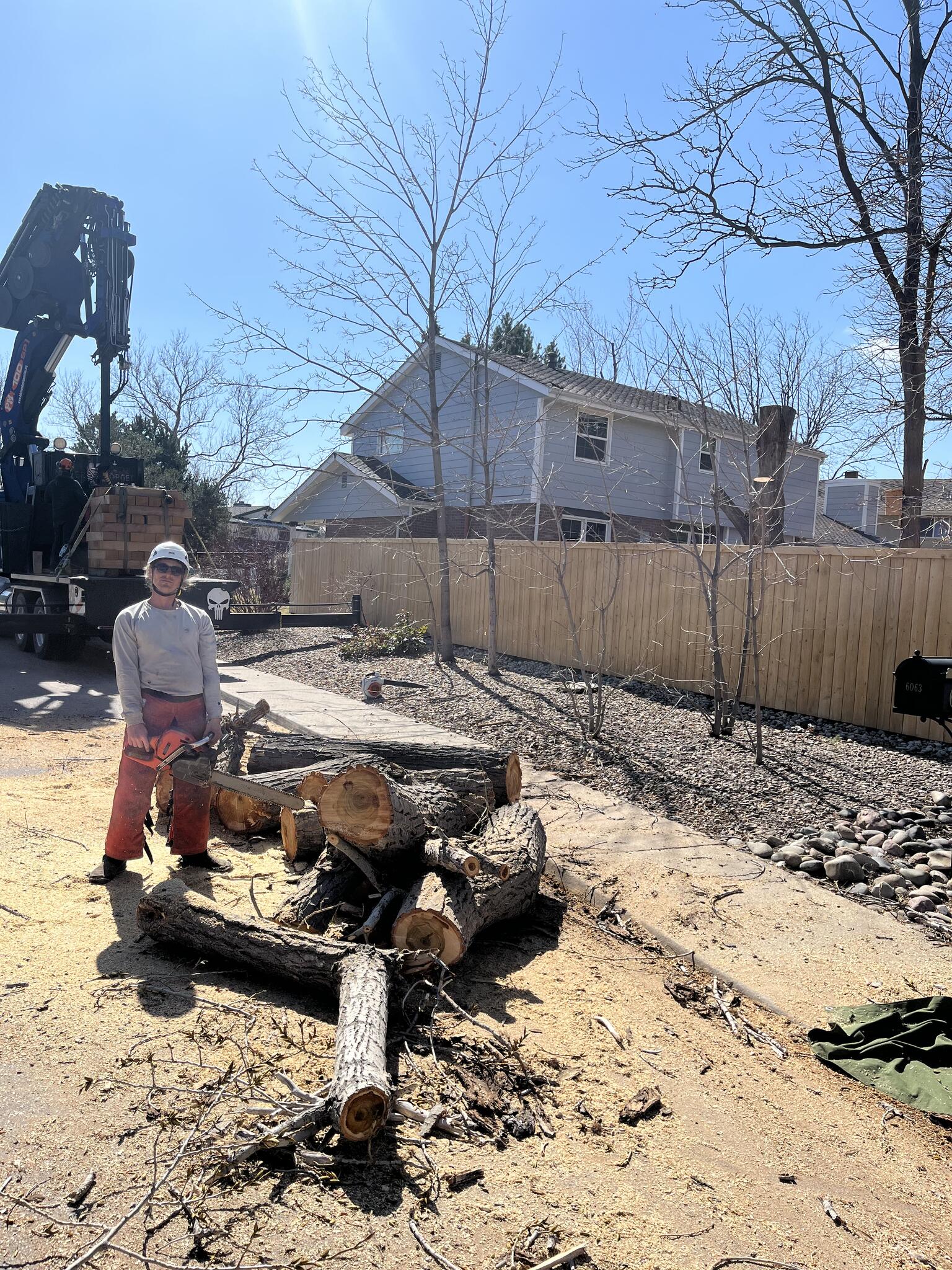 Namaste Tree Care - Nextdoor