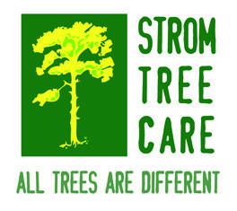 Strom Tree Care/SJM Arboricultural Consultant - Nextdoor