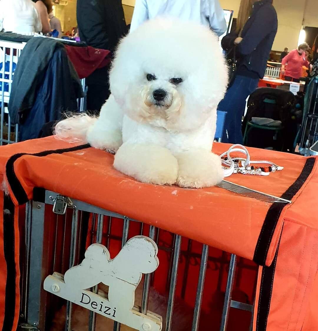 Mucky Mutz - Liverpool - Nextdoor