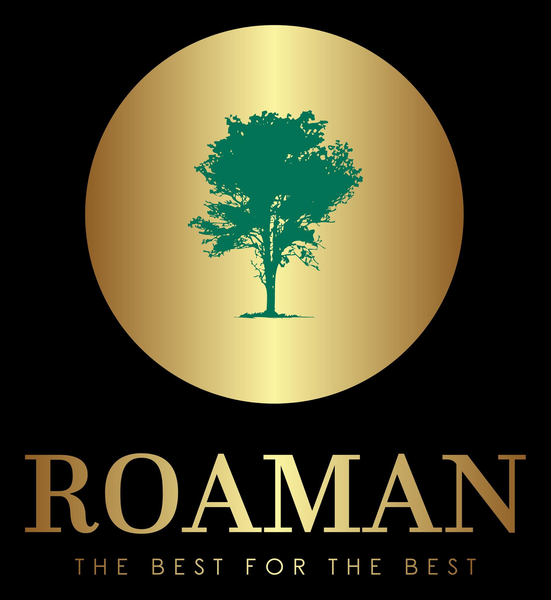ROAMAN LIMITED - Bournemouth - Nextdoor
