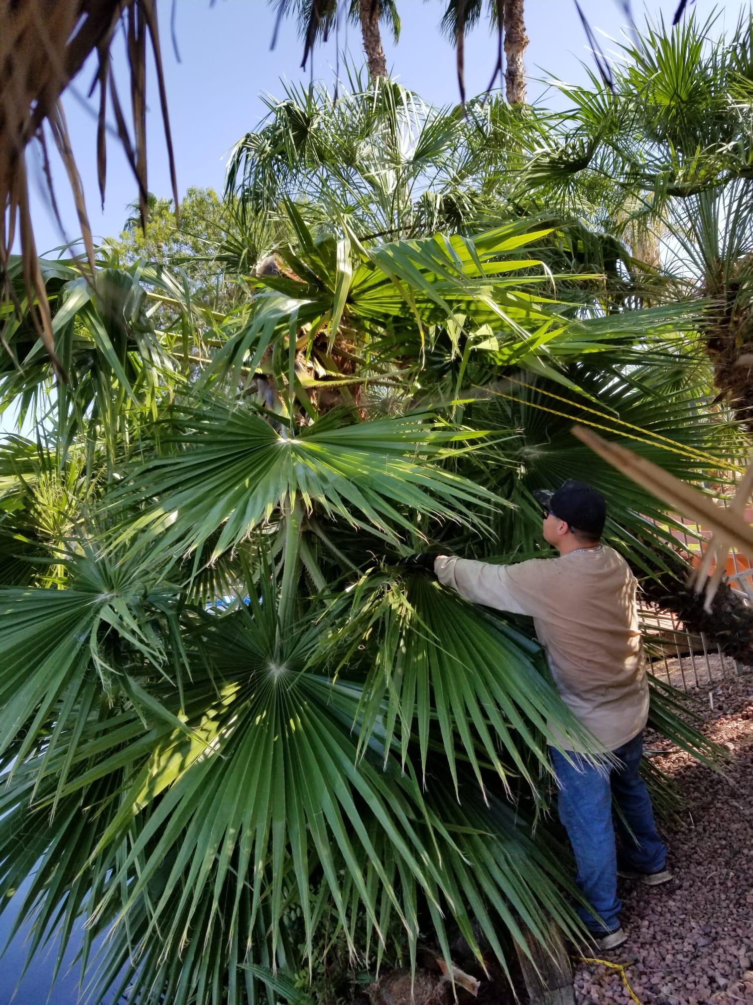 J-ROD LANDSCAPING LLC - Nextdoor