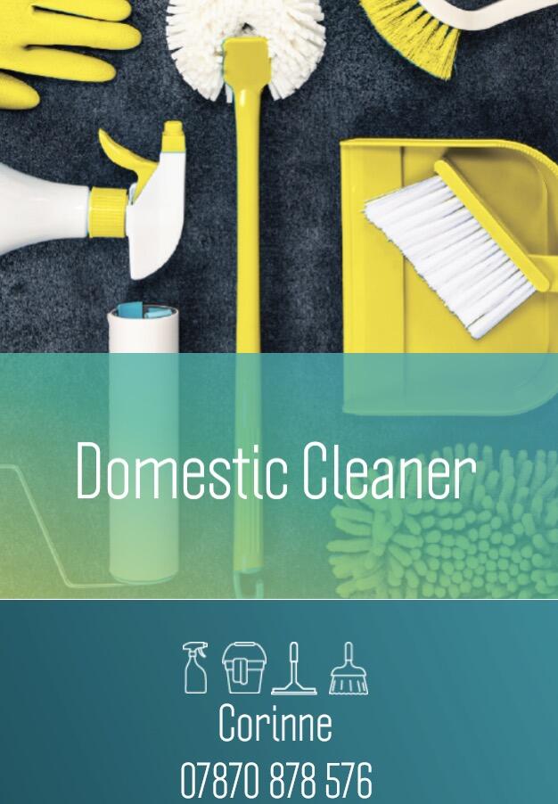 Domestic cleaner - Nextdoor