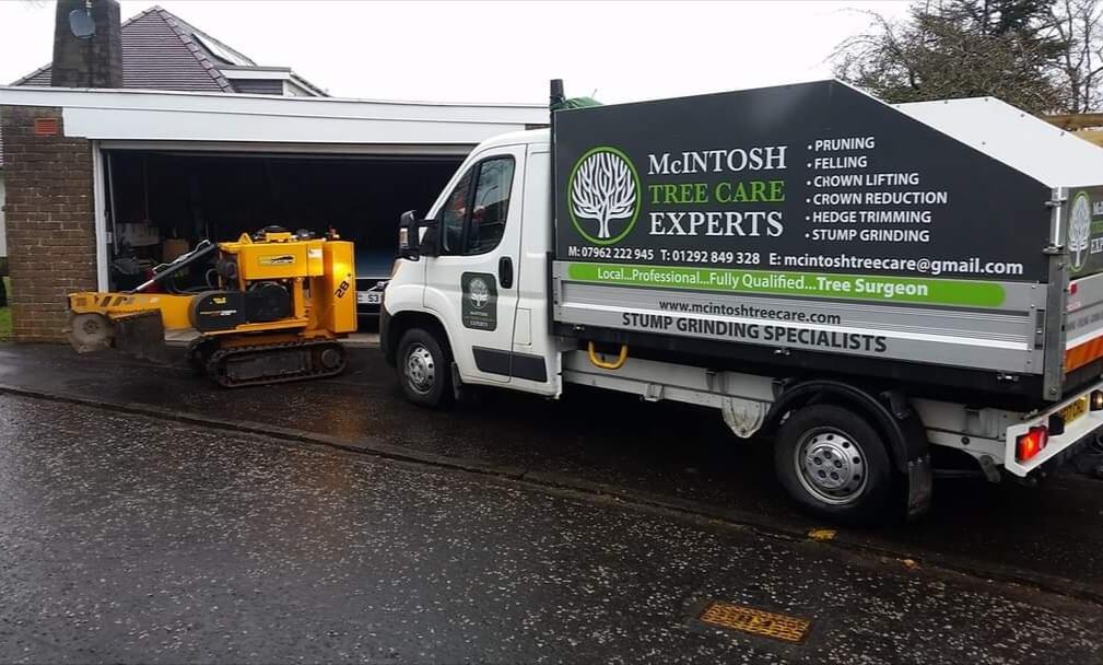 McIntosh Tree Care Experts Ltd - Nextdoor