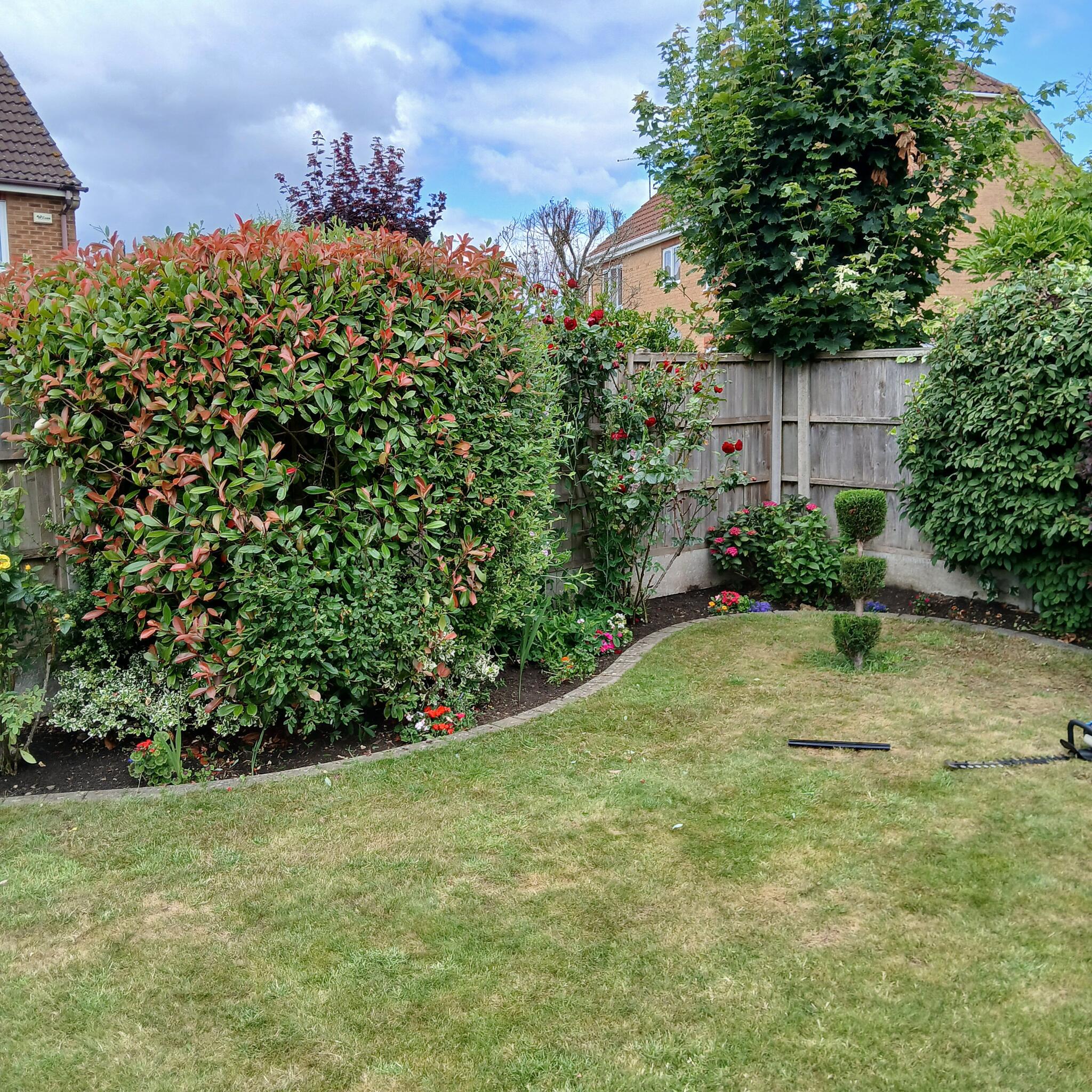 sk indoor&outdoor maintenance - Nextdoor