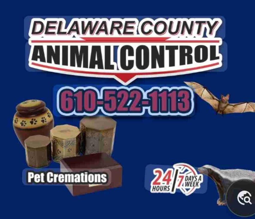 Delaware County Animal Control - Darby, PA - Nextdoor