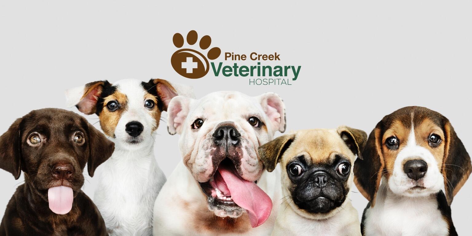 Pine Creek Veterinary Hospital - Colorado Springs, CO - Nextdoor