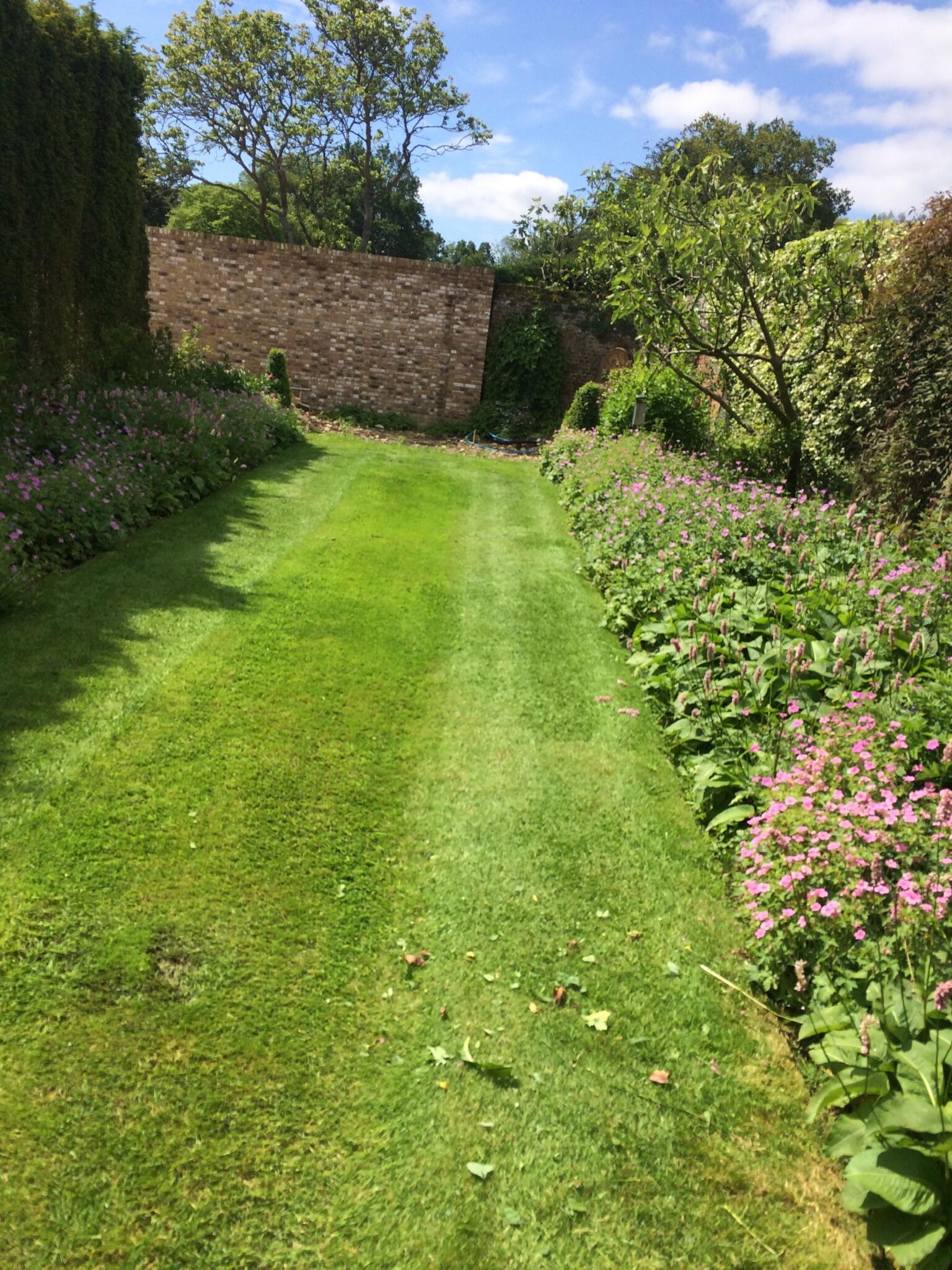 Tim The Gardener. Make more colours . - Hertford, GB-ENG - Nextdoor
