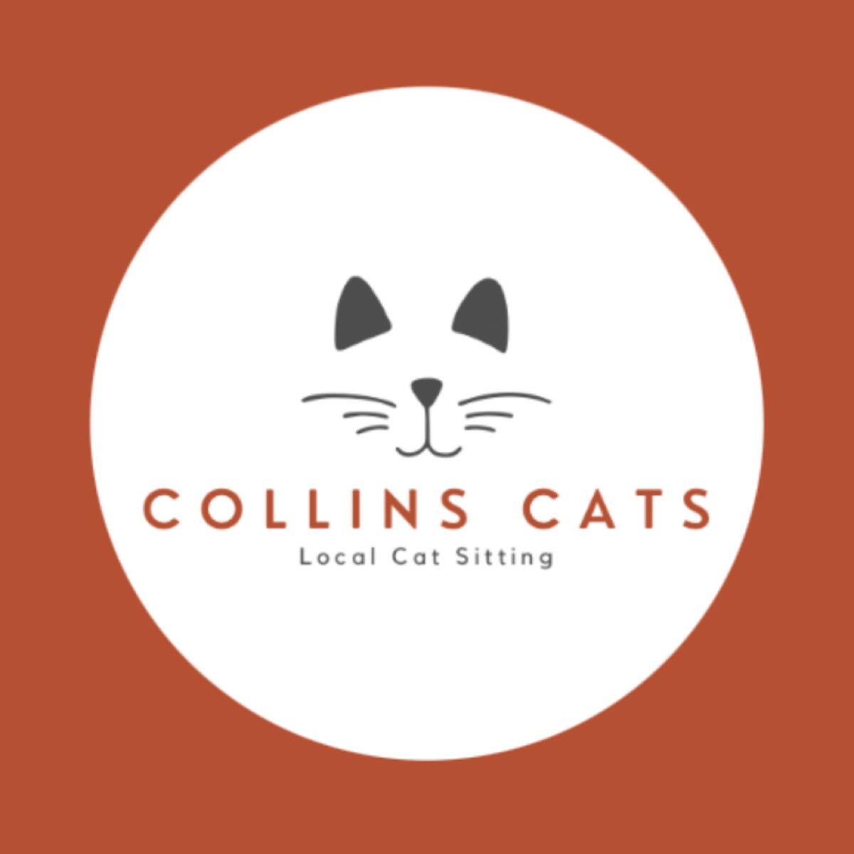 Collins Cats - Kingston upon Hull, GB-ENG - Nextdoor