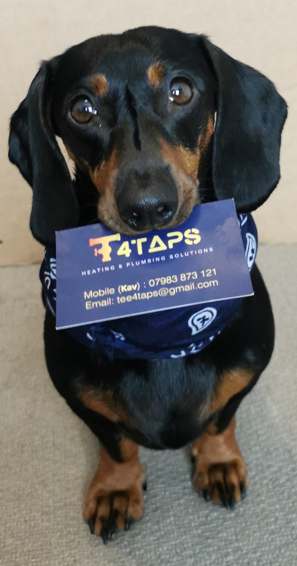 T4TAPS The Heating & plumbing Solutions - Nextdoor