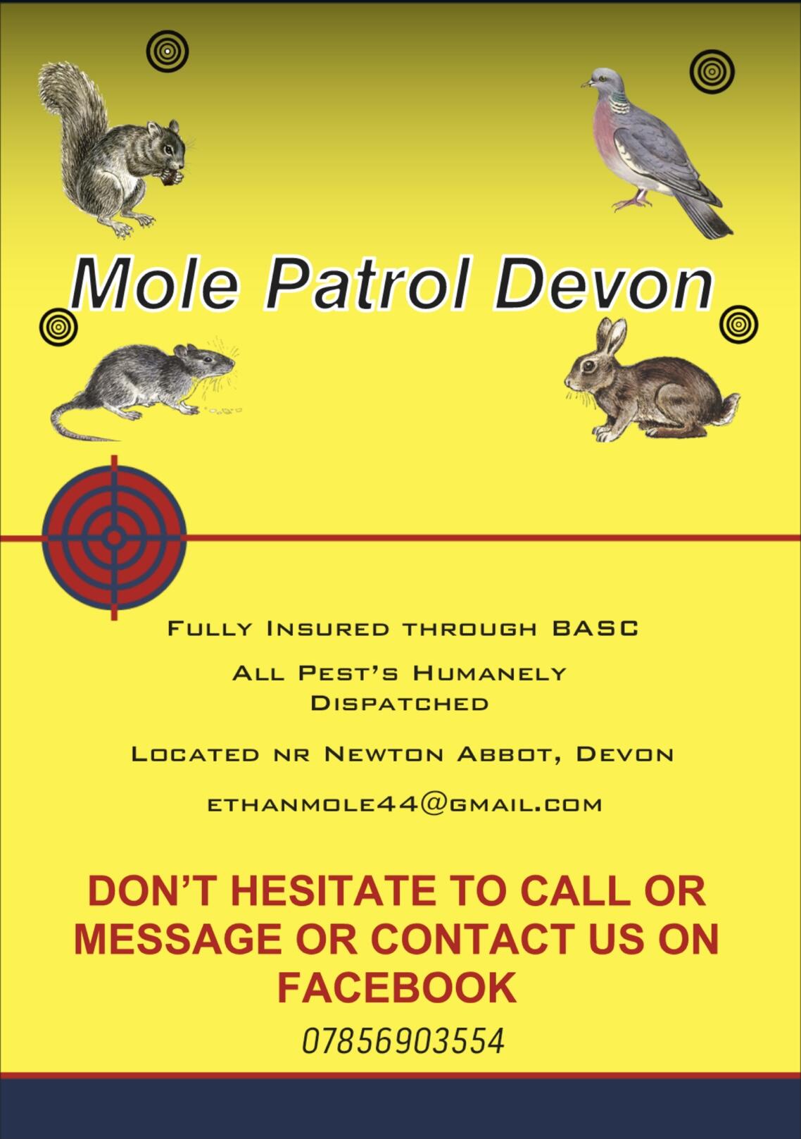 Mole Patrol Devon - Newton Abbot - Nextdoor