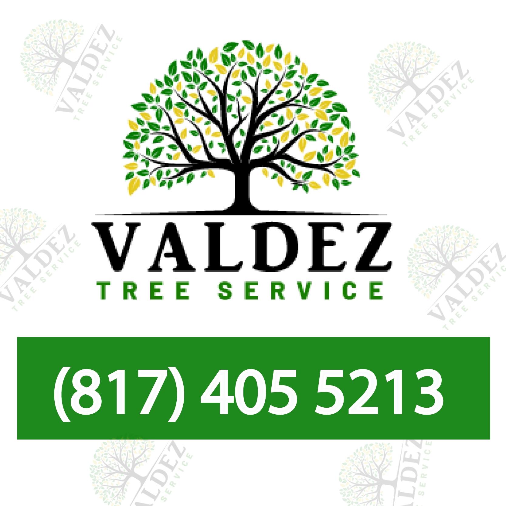 Valdez Tree Service - Fort Worth, TX - Nextdoor Valdez Tree Service - Fort Worth, TX - Nextdoor