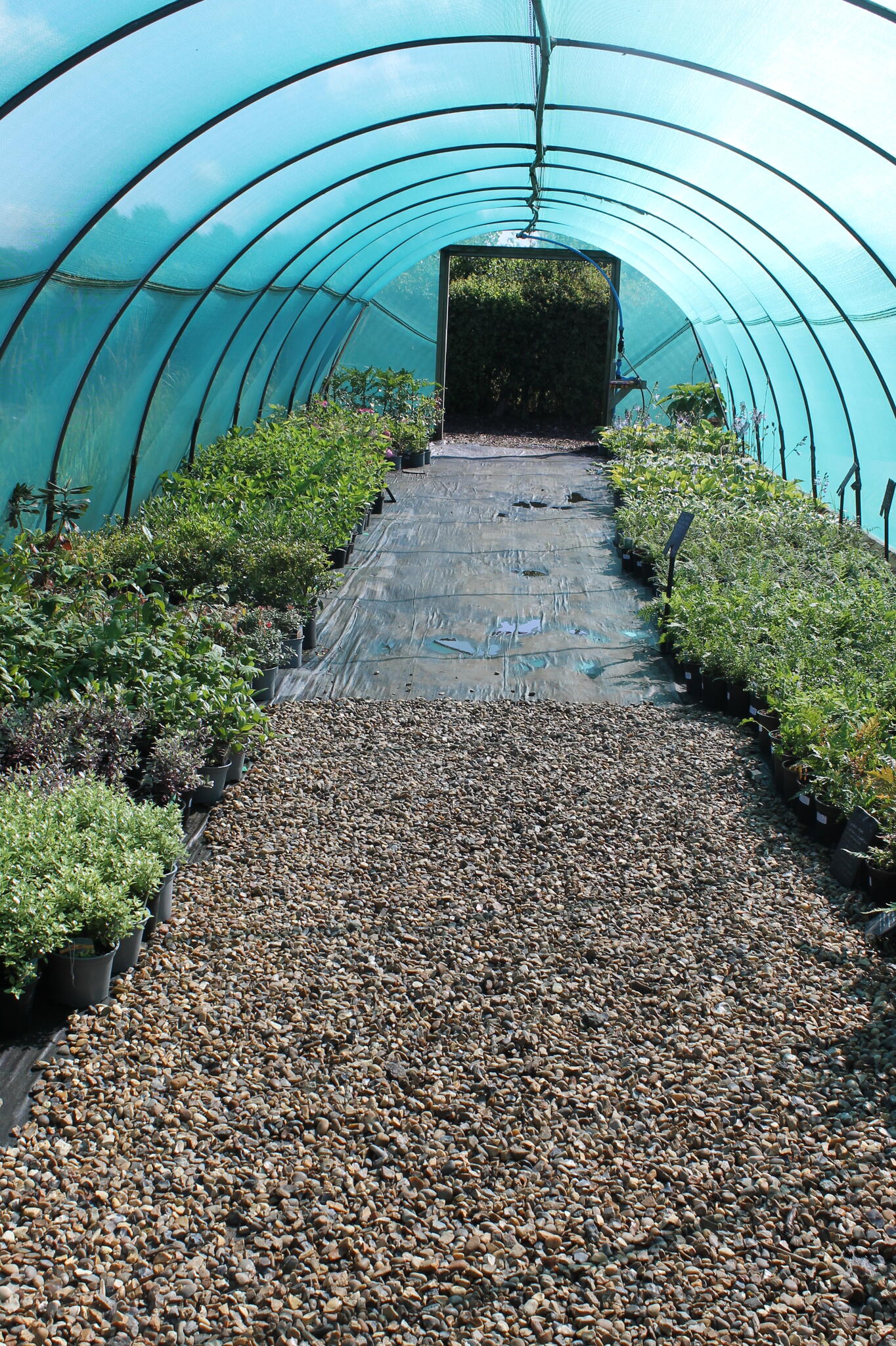 Dutch Barn Nursery - Blo' Norton - Nextdoor