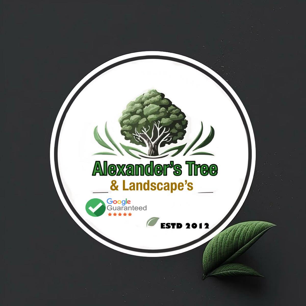 Alexander tree & landscpes - Liverpool, GB-ENG - Nextdoor