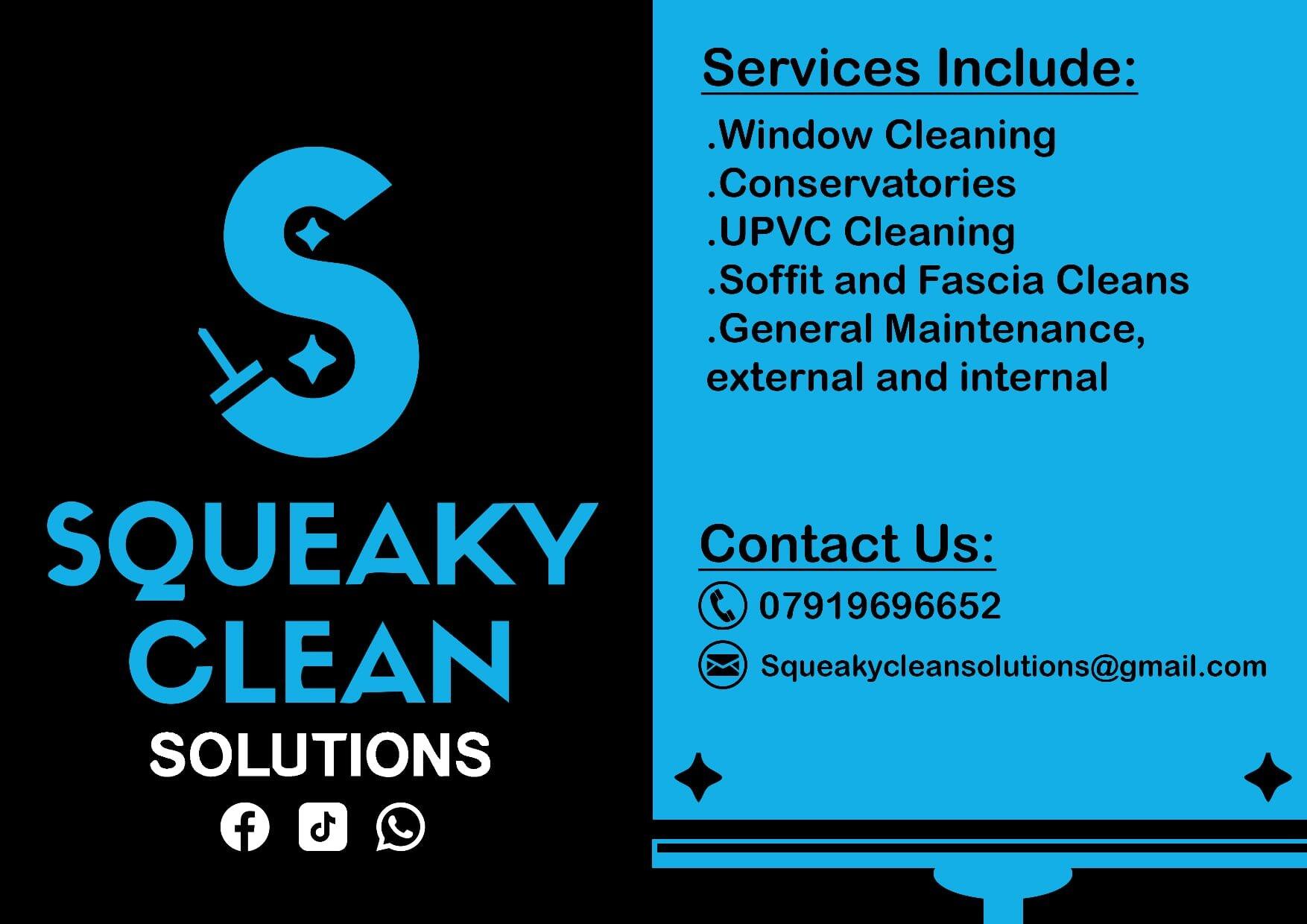 squeaky clean solutions - Bury, England - Nextdoor