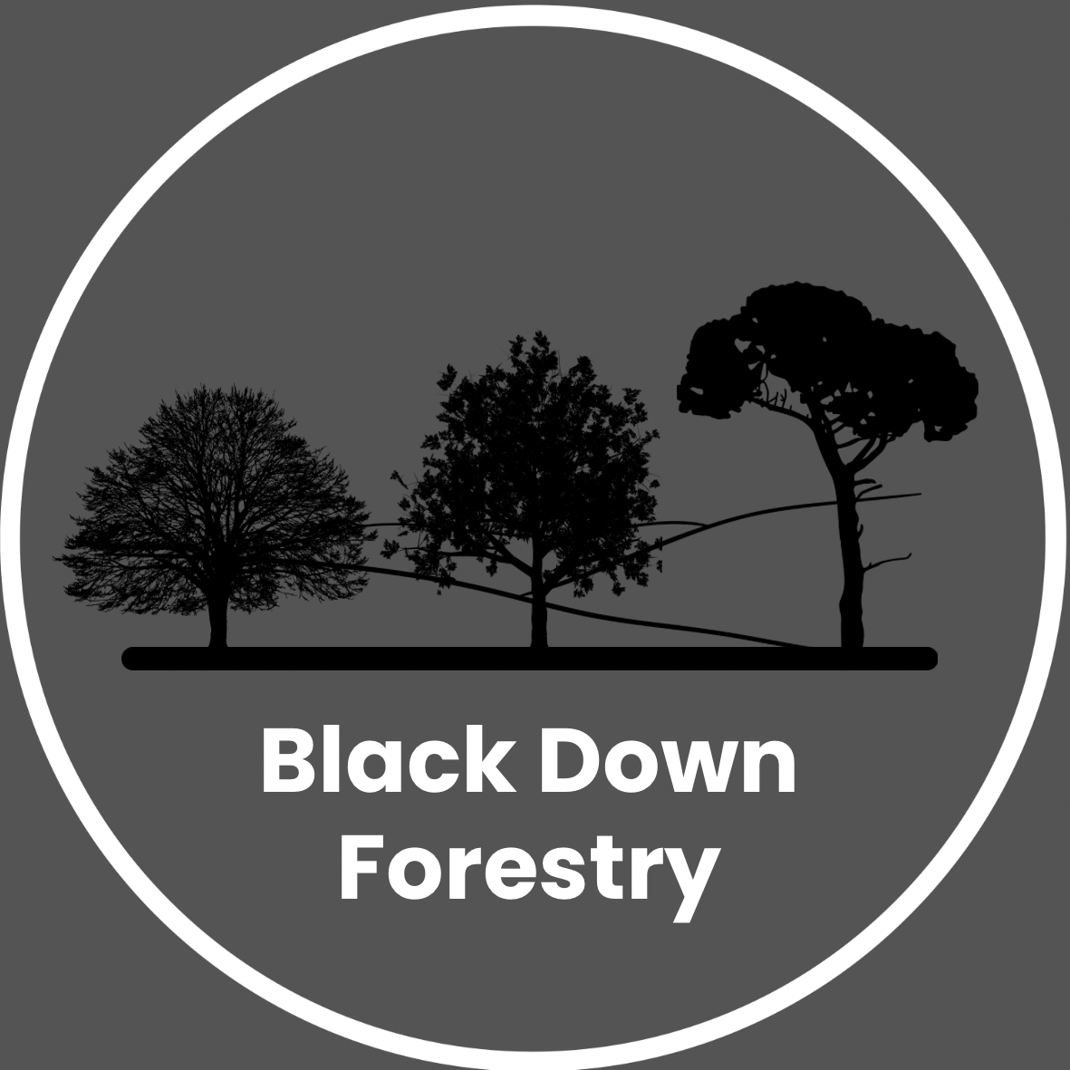 Black Down Forestry - Royal Tunbridge Wells, GB-ENG - Nextdoor