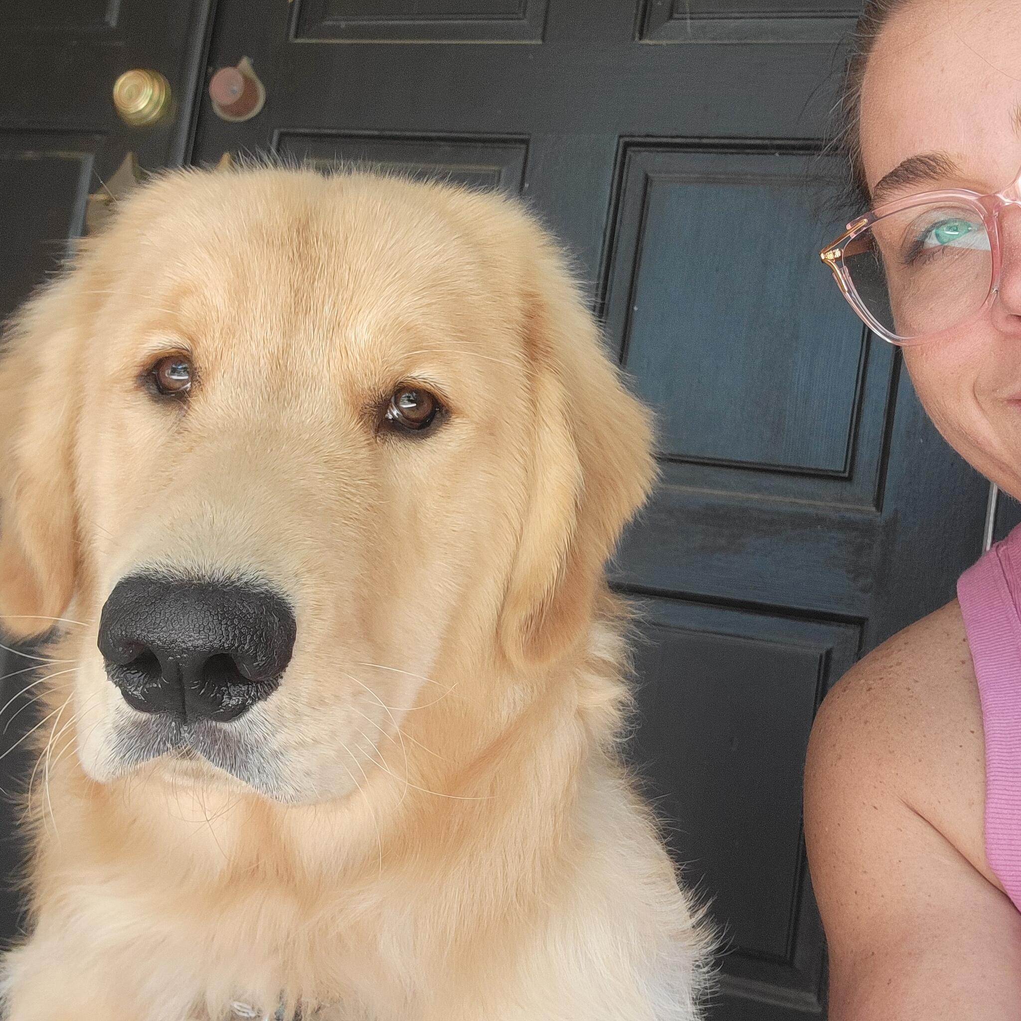 Angie's @ Home Dog Grooming - Nextdoor