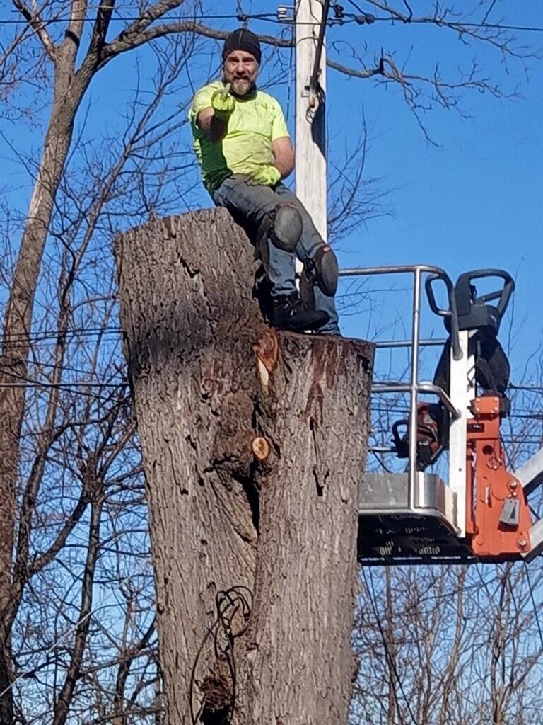 Best Affordable Tree Removal Service's - Nextdoor