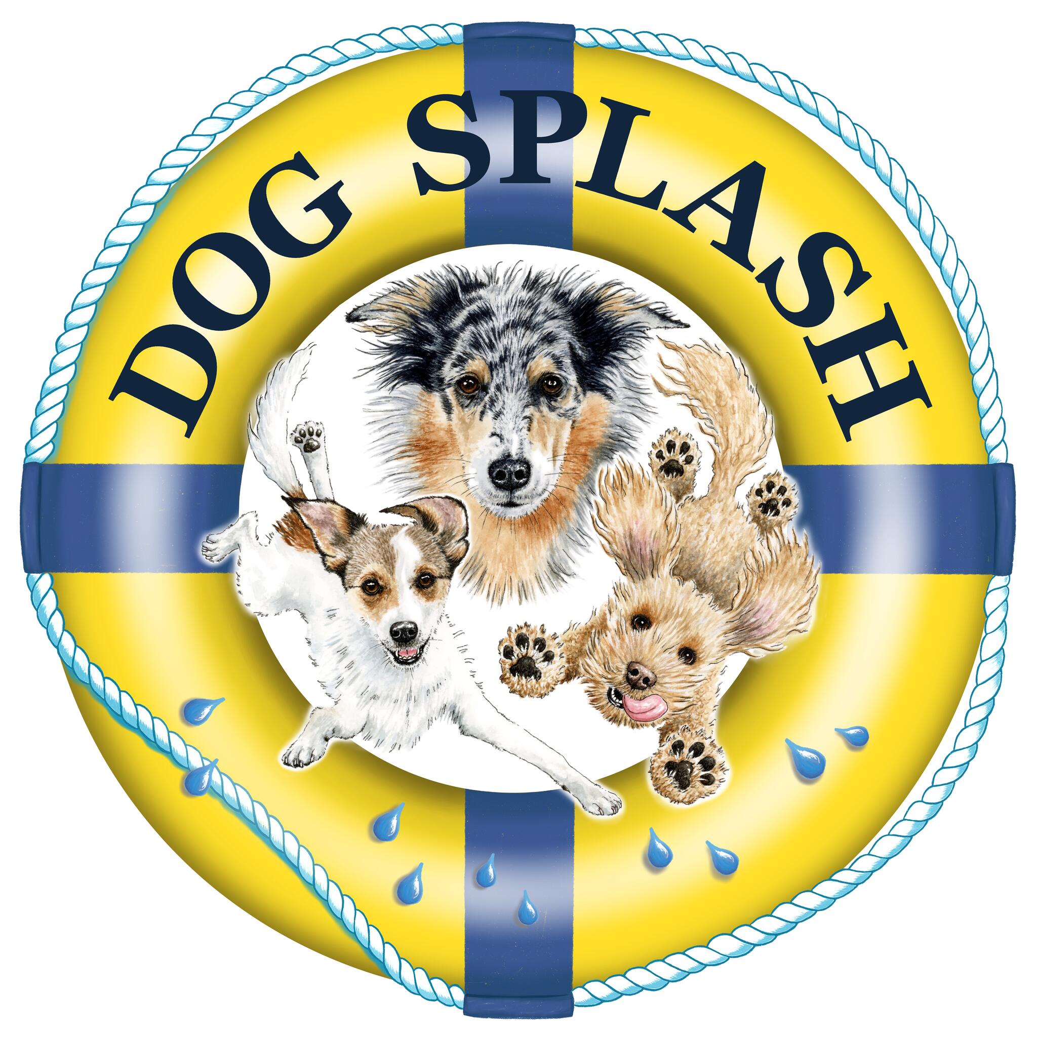 Dog Splash Swimming Pool for Dogs - Pevensey, GB-ENG - Nextdoor