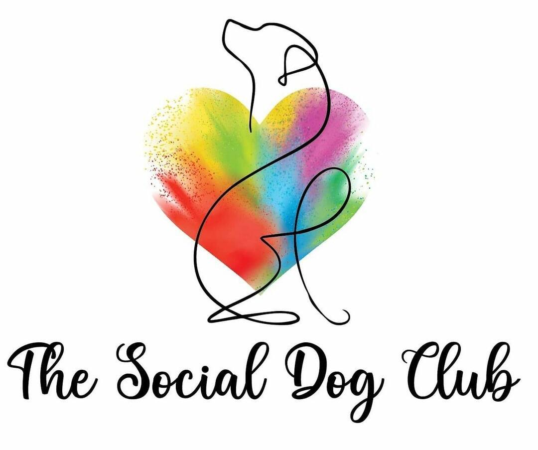 The Social Dog Club - Chichester - Nextdoor