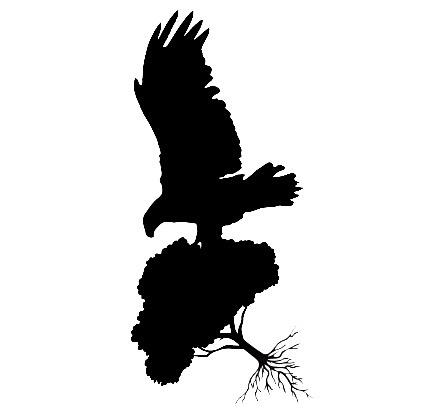 Tree Bird Tree Service - Nextdoor
