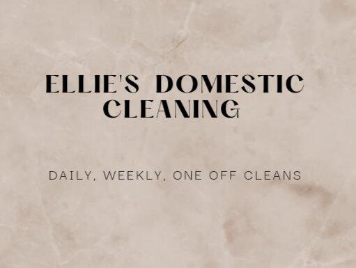 Ellie's Domestic Cleaning - Nextdoor