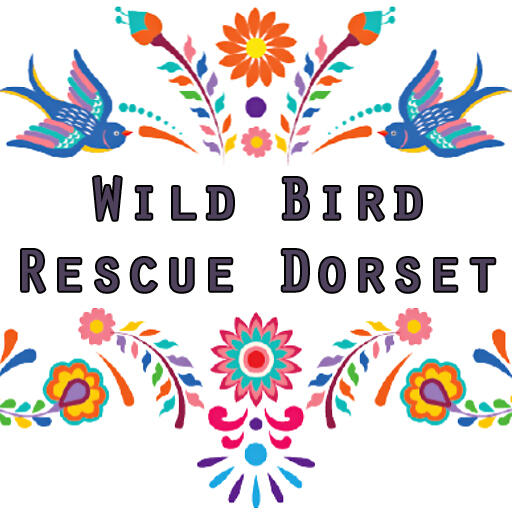 Wild Bird Rescue Dorset Wareham GB ENG Nextdoor wild-bird-rescue-dorset-wareham-gb-eng-nextdoor