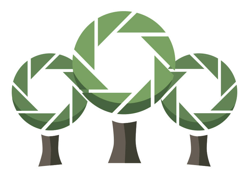 EBW Tree Care Ltd - Nextdoor