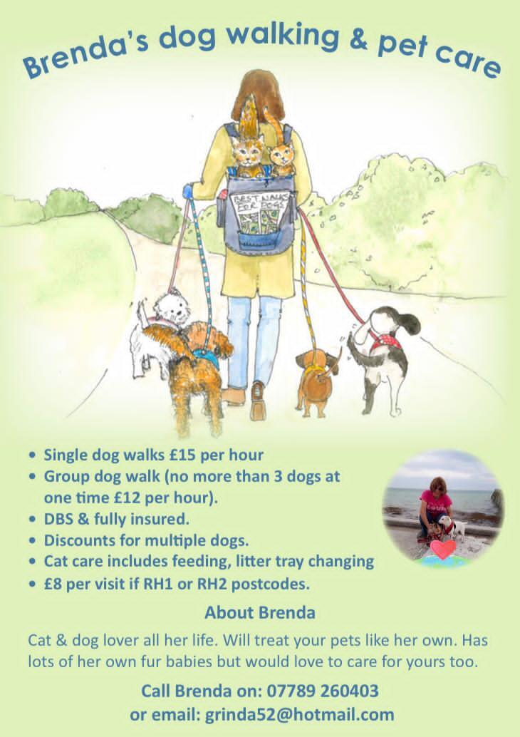 Brenda’s Dog Walking & Pet Care - Reigate - Nextdoor