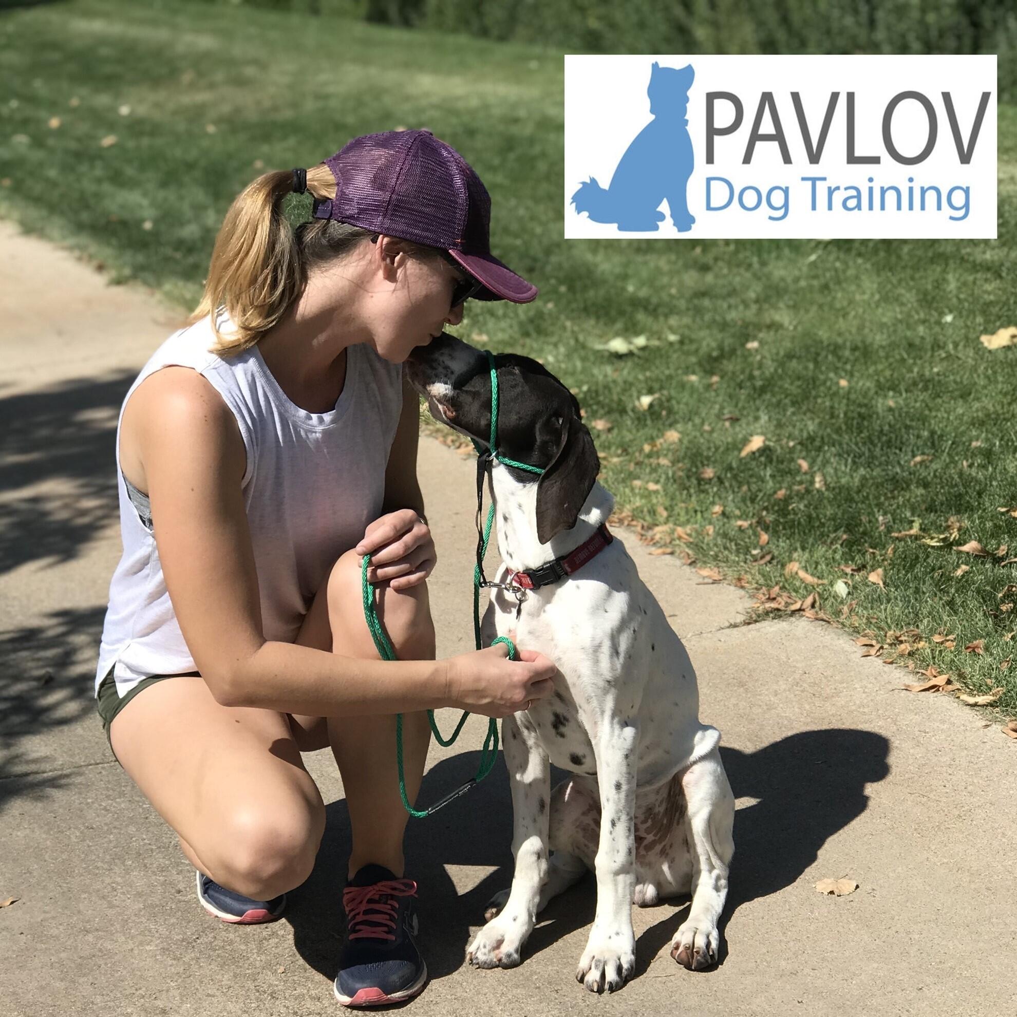 Pavlov Dog Training Denver - Denver, CO - Nextdoor