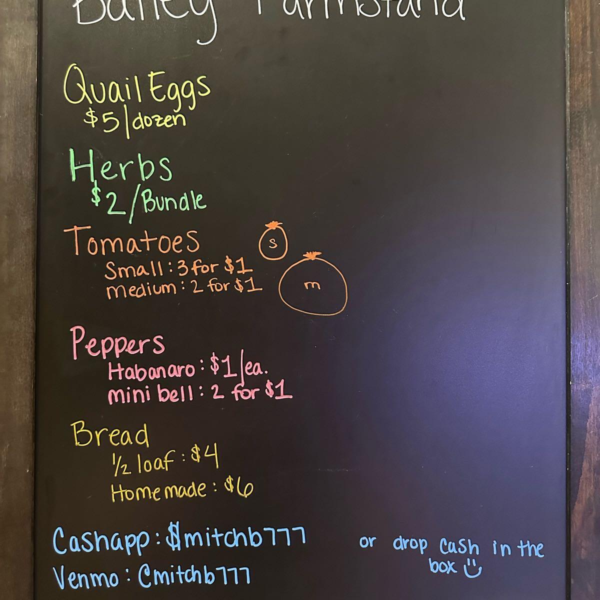 Bailey Devonish Nextdoor Models Morazzia Com | My XXX Hot Girl