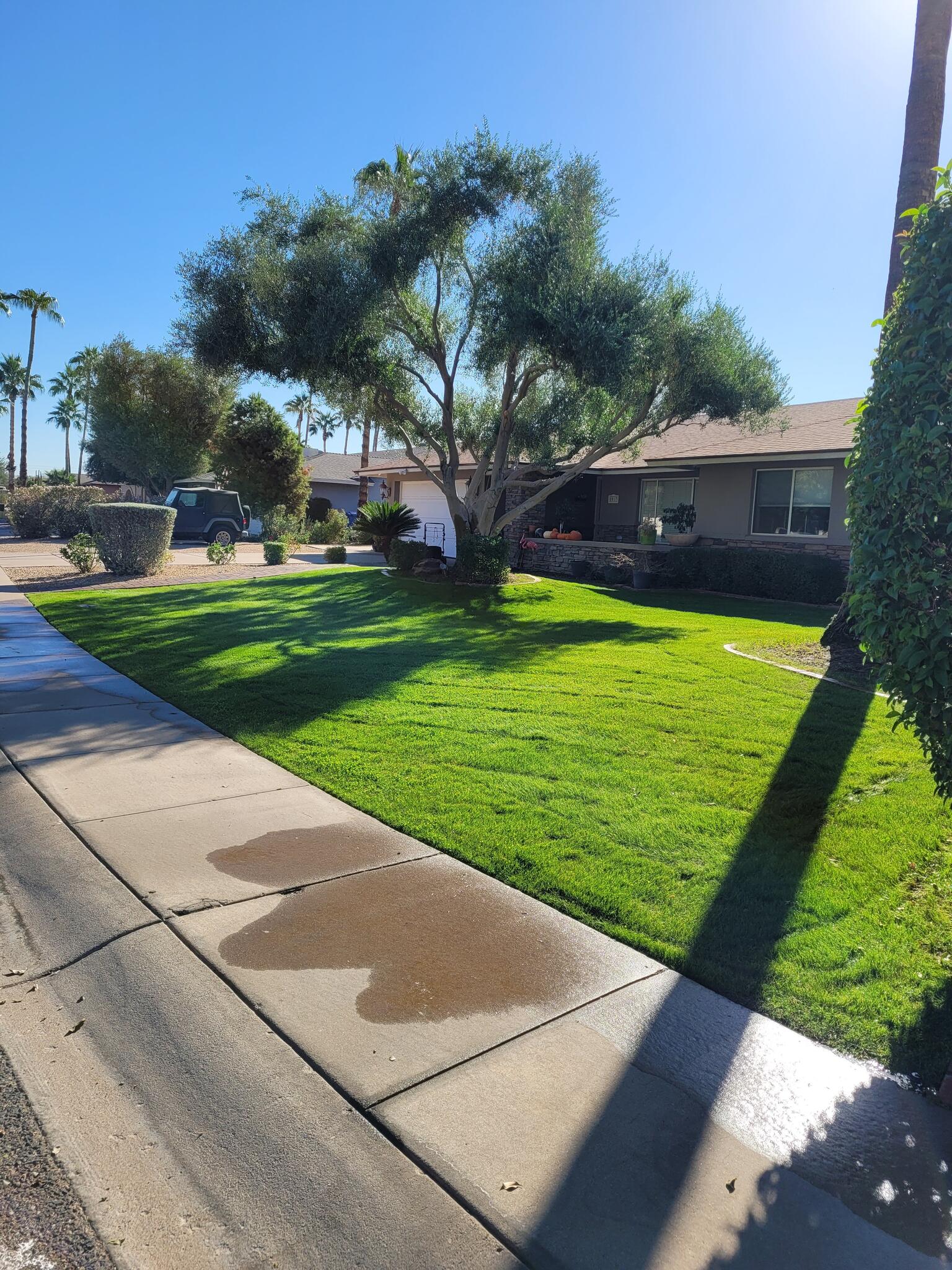 Cesar's Landscaping - Phoenix, AZ - Nextdoor Cesar's Landscaping - Phoenix, AZ - Nextdoor