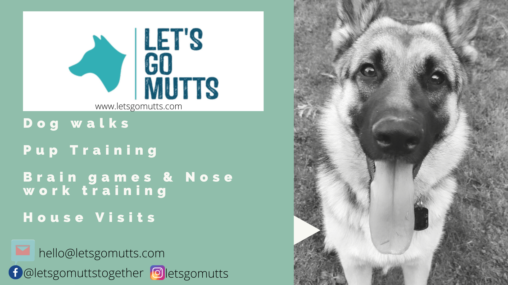 Lets Go Mutts - Bexhill-On-Sea - Nextdoor