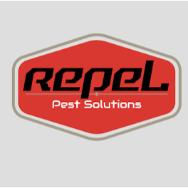 Repel Pest Solutions - Nextdoor