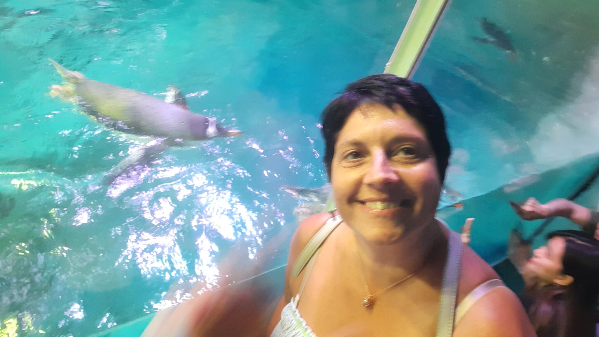 D.o.n.n.a (Developing Opportunities to Nurture Neurodiverse and Aspiring communicators ...