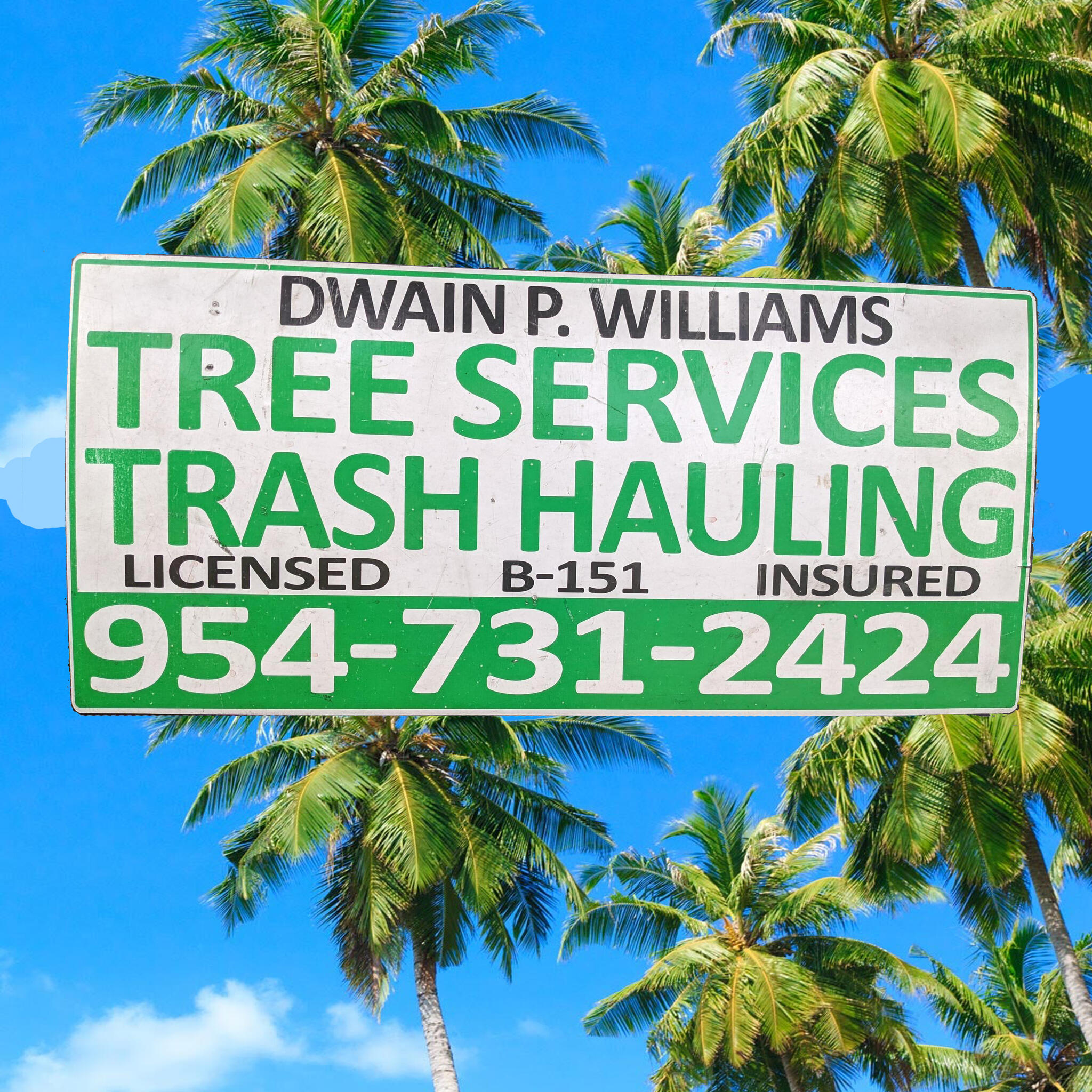 Dwain's Tree Trimming, Stump Grinding & Trash Hauling Service ...