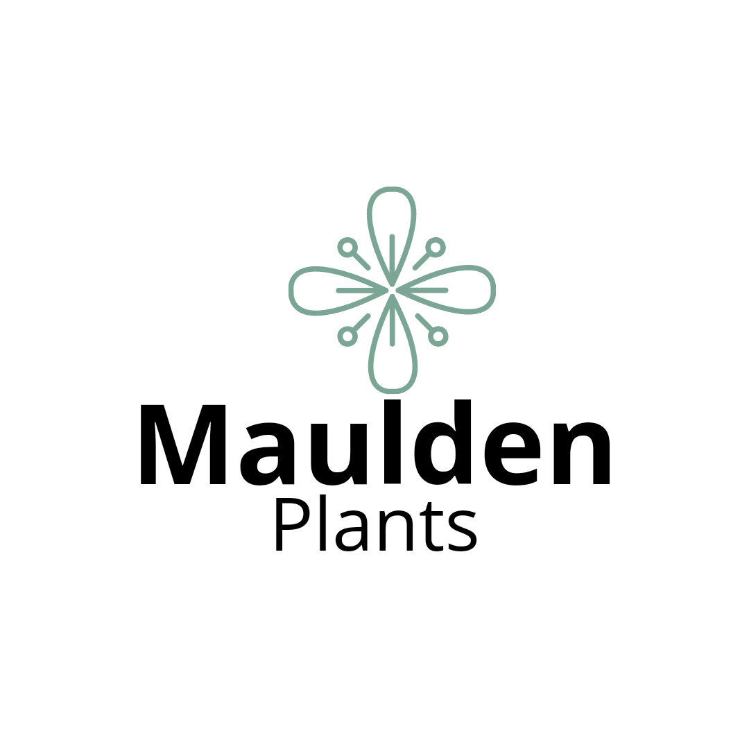 Maulden Plants - Henlow, GB-ENG - Nextdoor