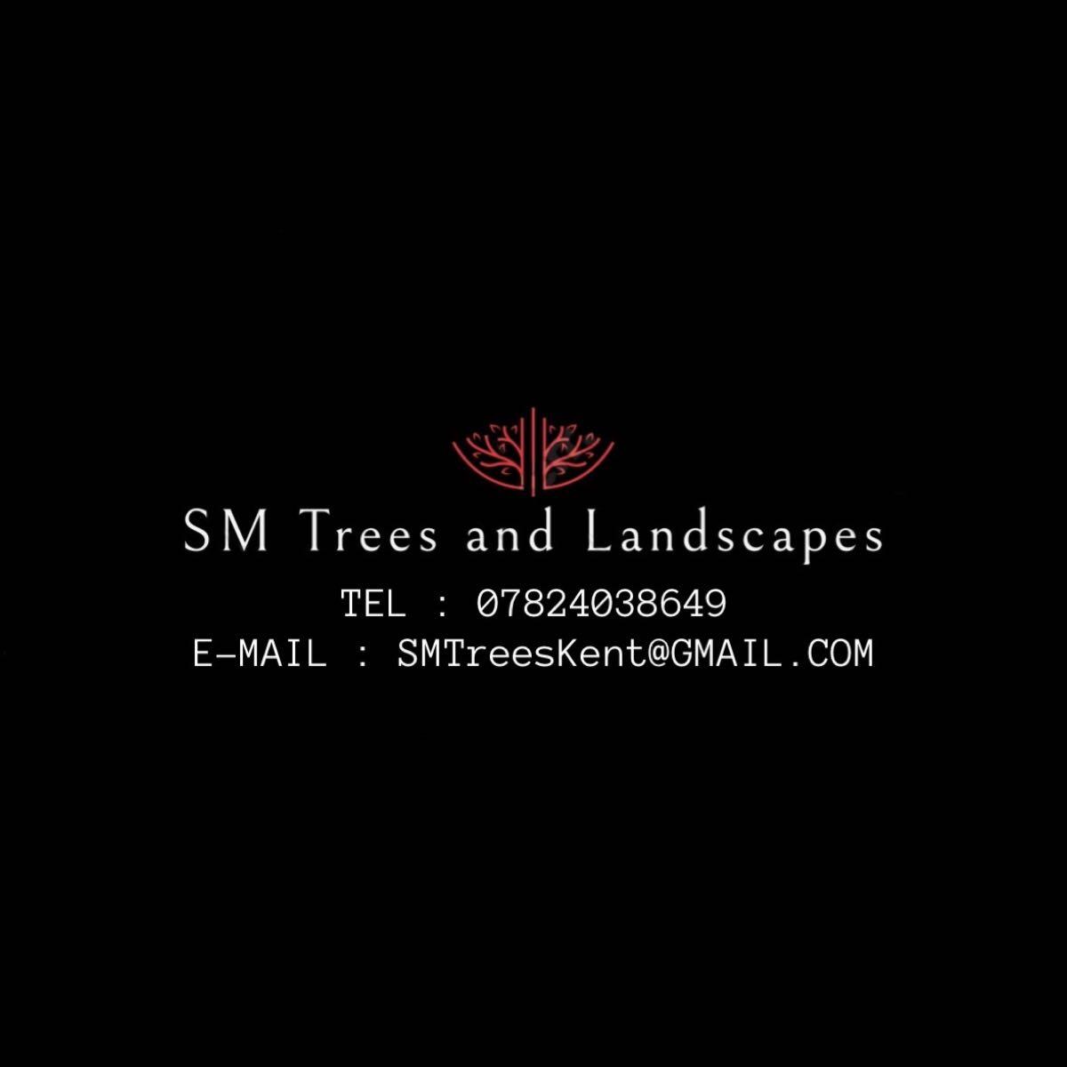 SM Trees and Landscapes - Nextdoor