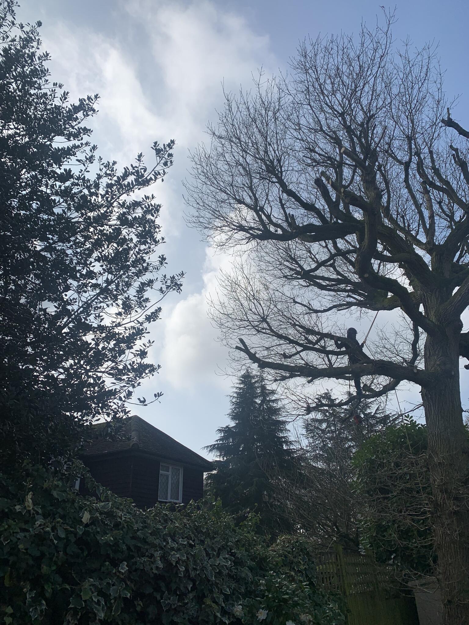 C&J landscaping & trees - Nextdoor