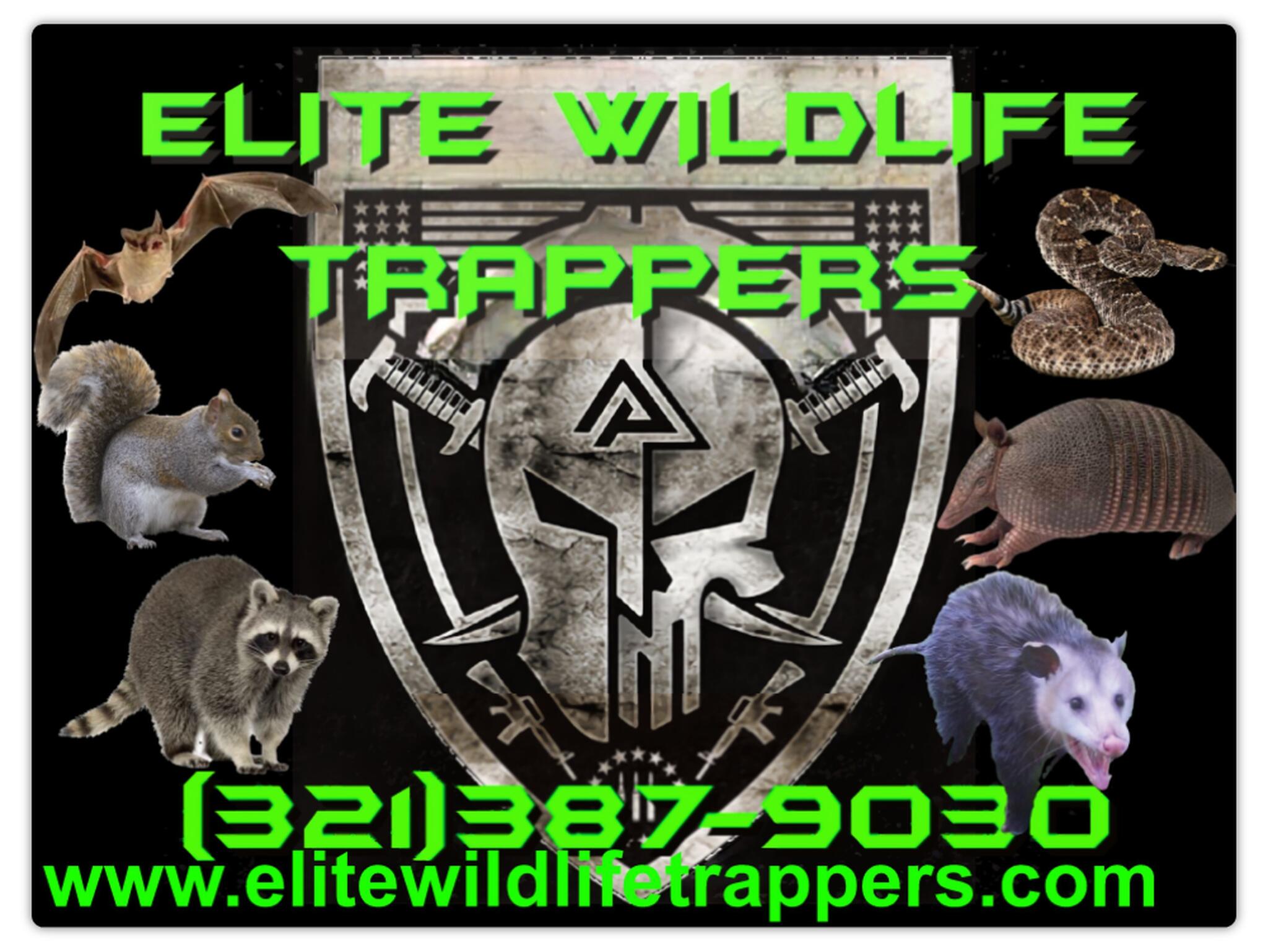 Elite Wildlife Trappers - Winter Park, FL - Nextdoor