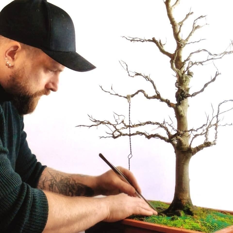 Rojin Bonsai Studio - Nextdoor