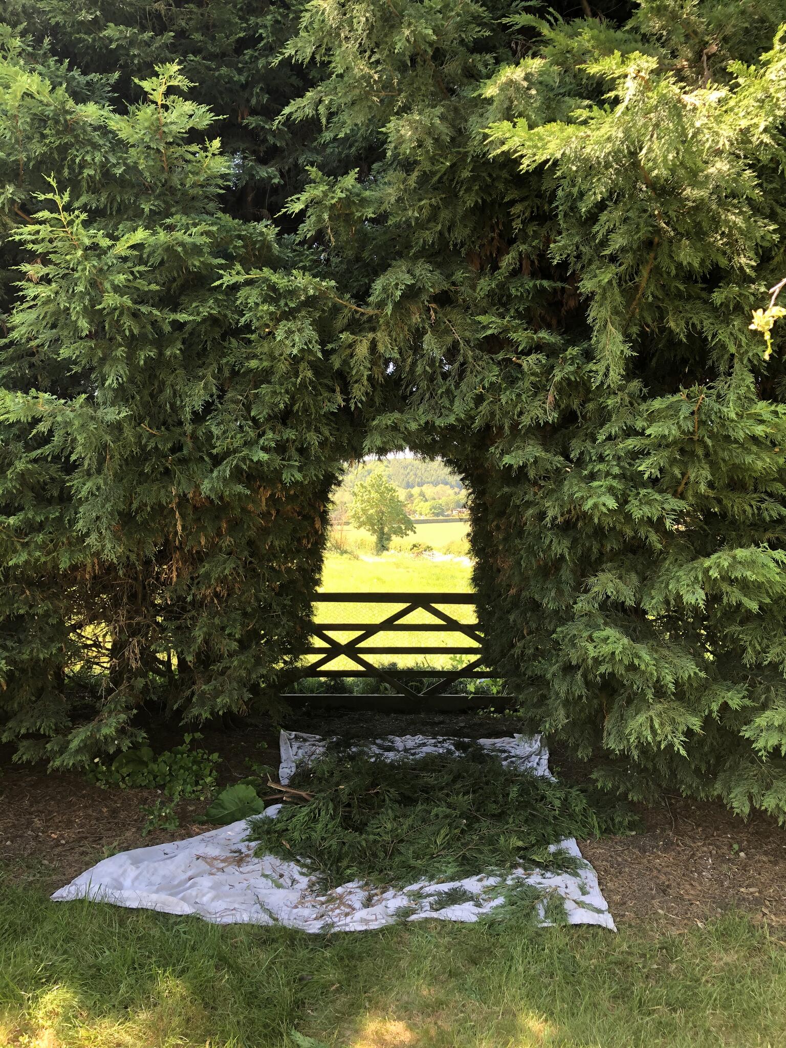 Finstock Garden Maintenance - Chipping Norton, England - Nextdoor