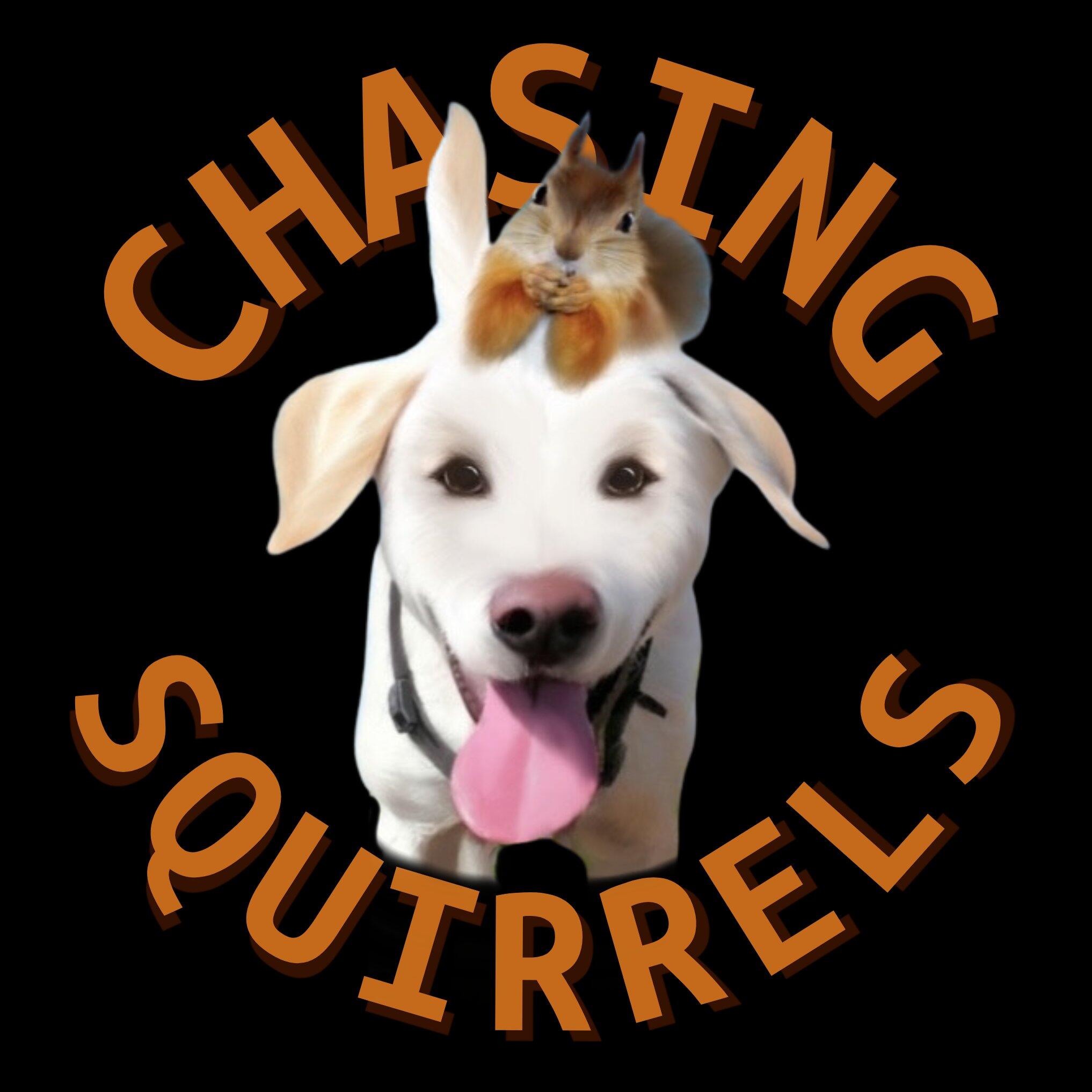 Chasing Squirrels - Nextdoor