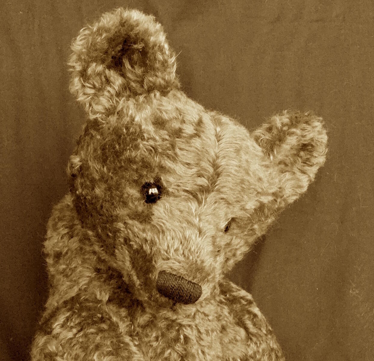 Edenbears - Morecambe, England - Nextdoor