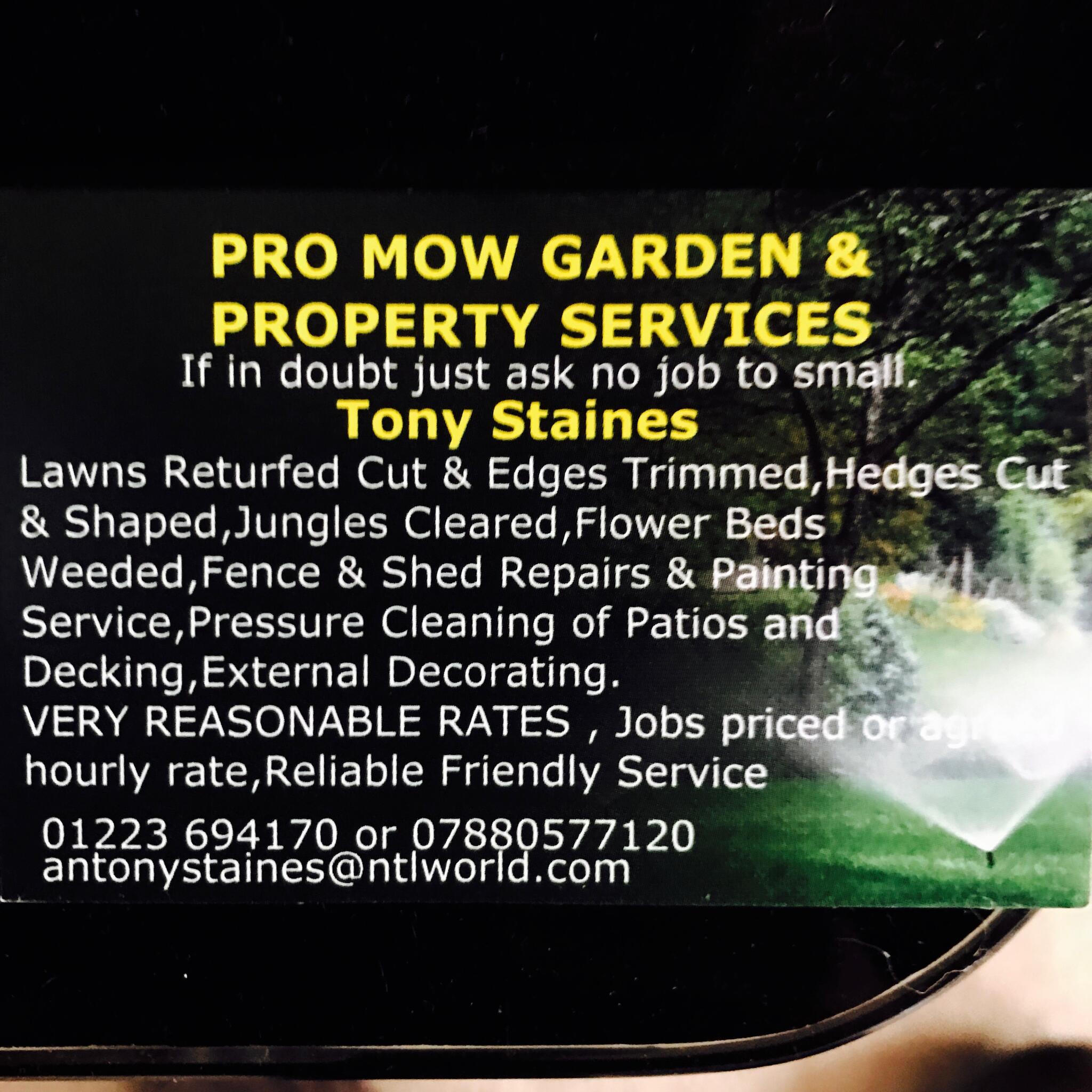 Tony Staines - Waterbeach, England - Nextdoor