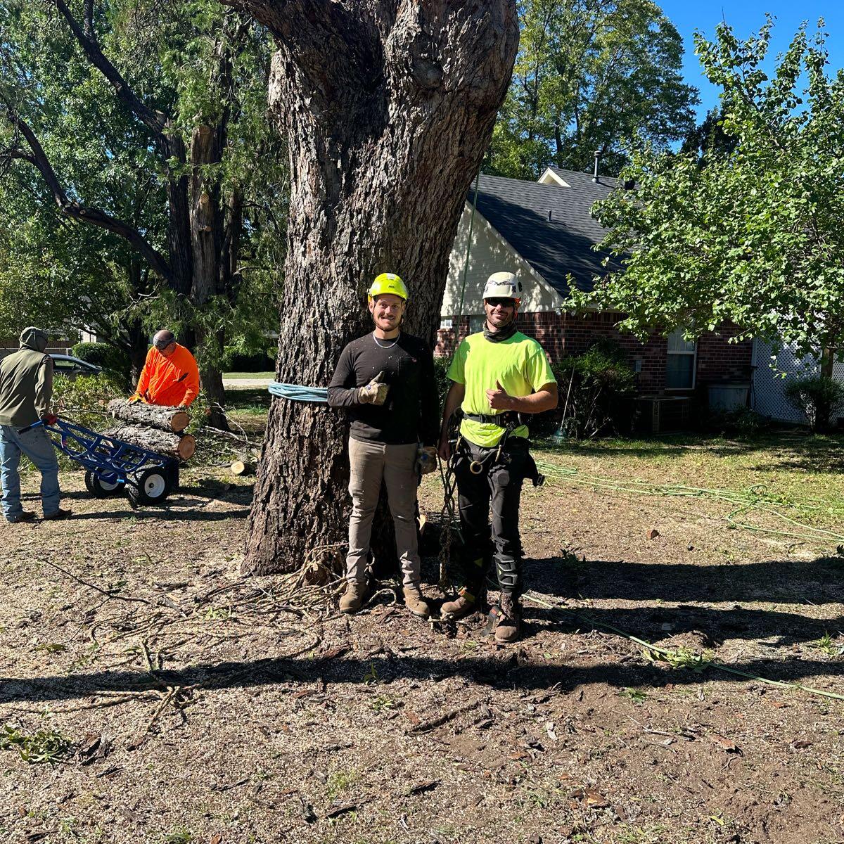 Chas’in Trees Tree Service - Rhome, TX - Nextdoor