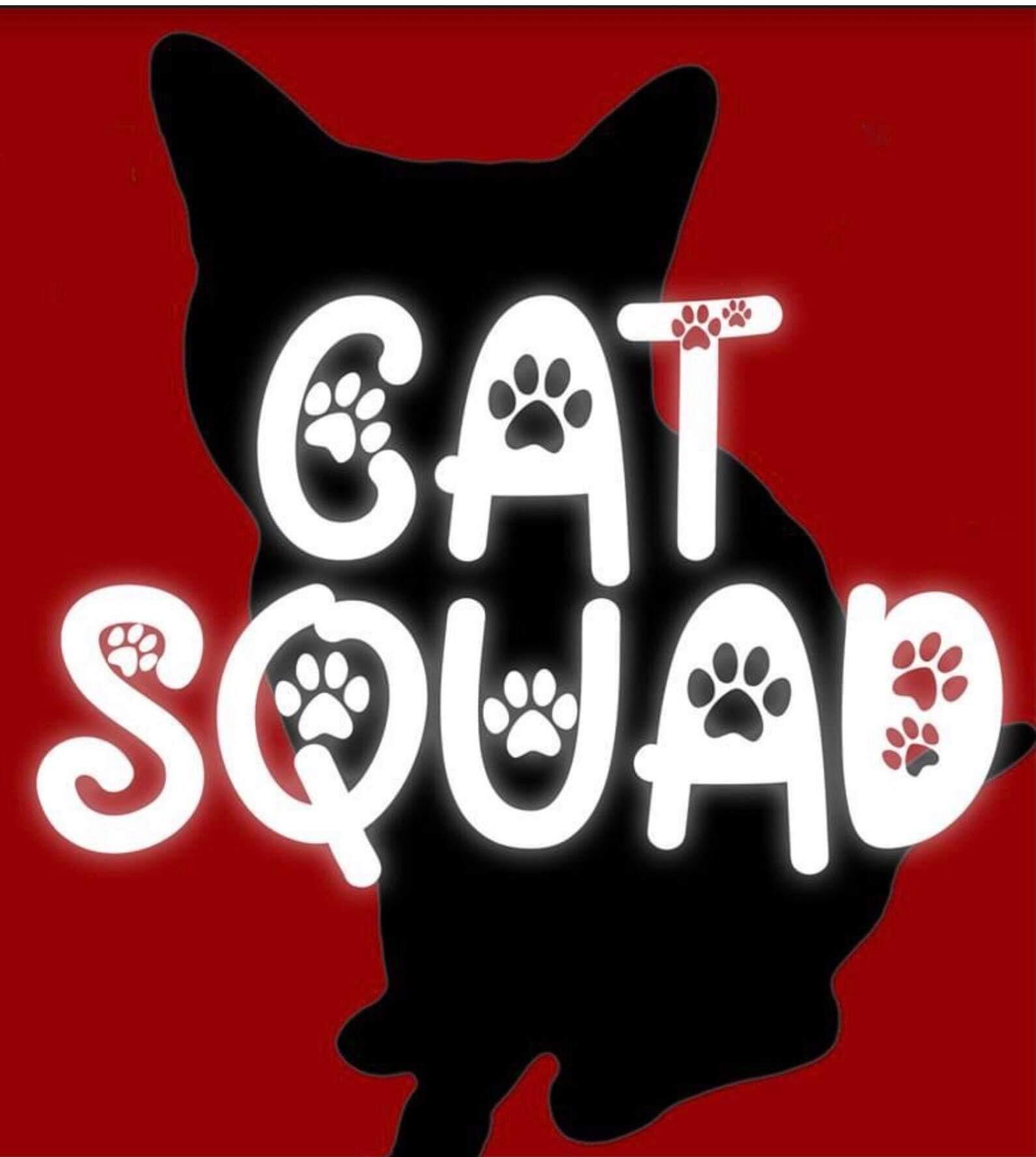 Cat Squad South Essex - Nextdoor
