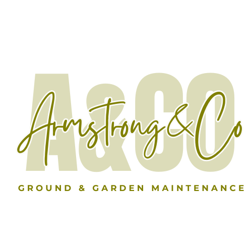 Armstrong & Co - Nextdoor