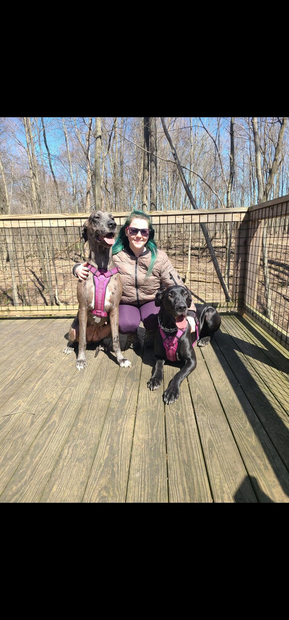 Allison's Animal Sitting Services - Nextdoor